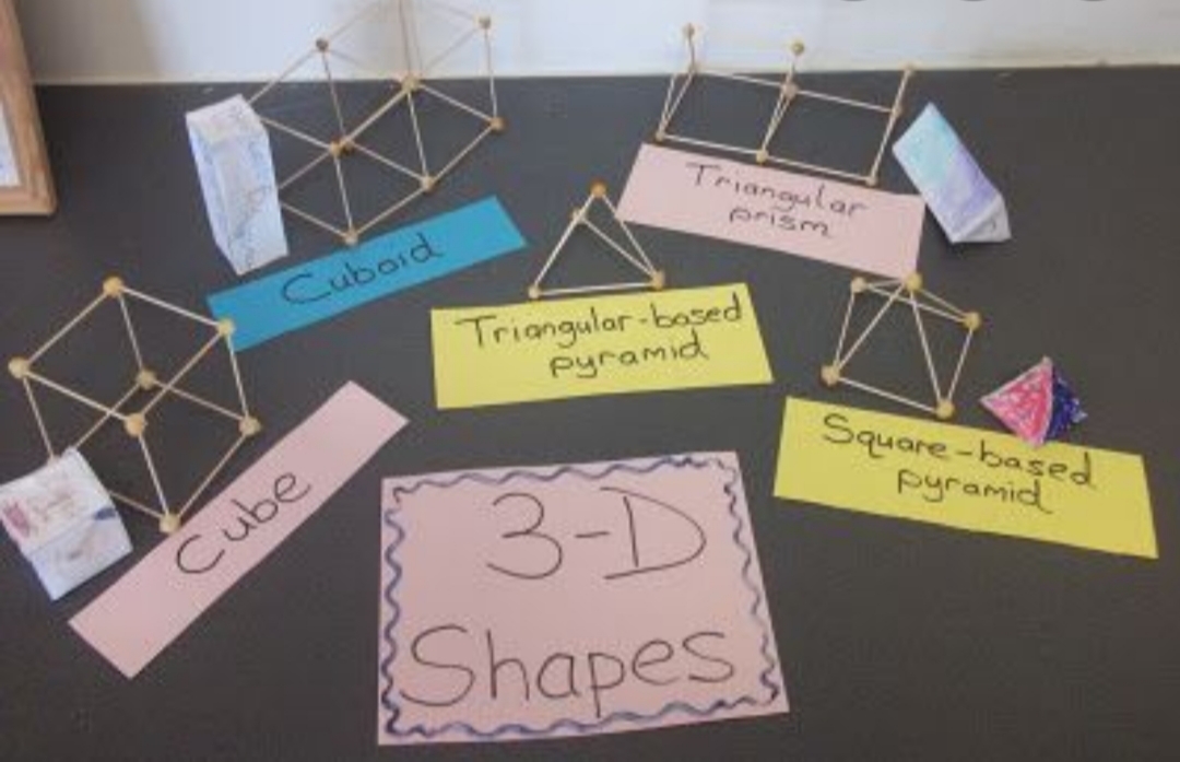 Discovery Primary Science & Maths Award - Innishannon School